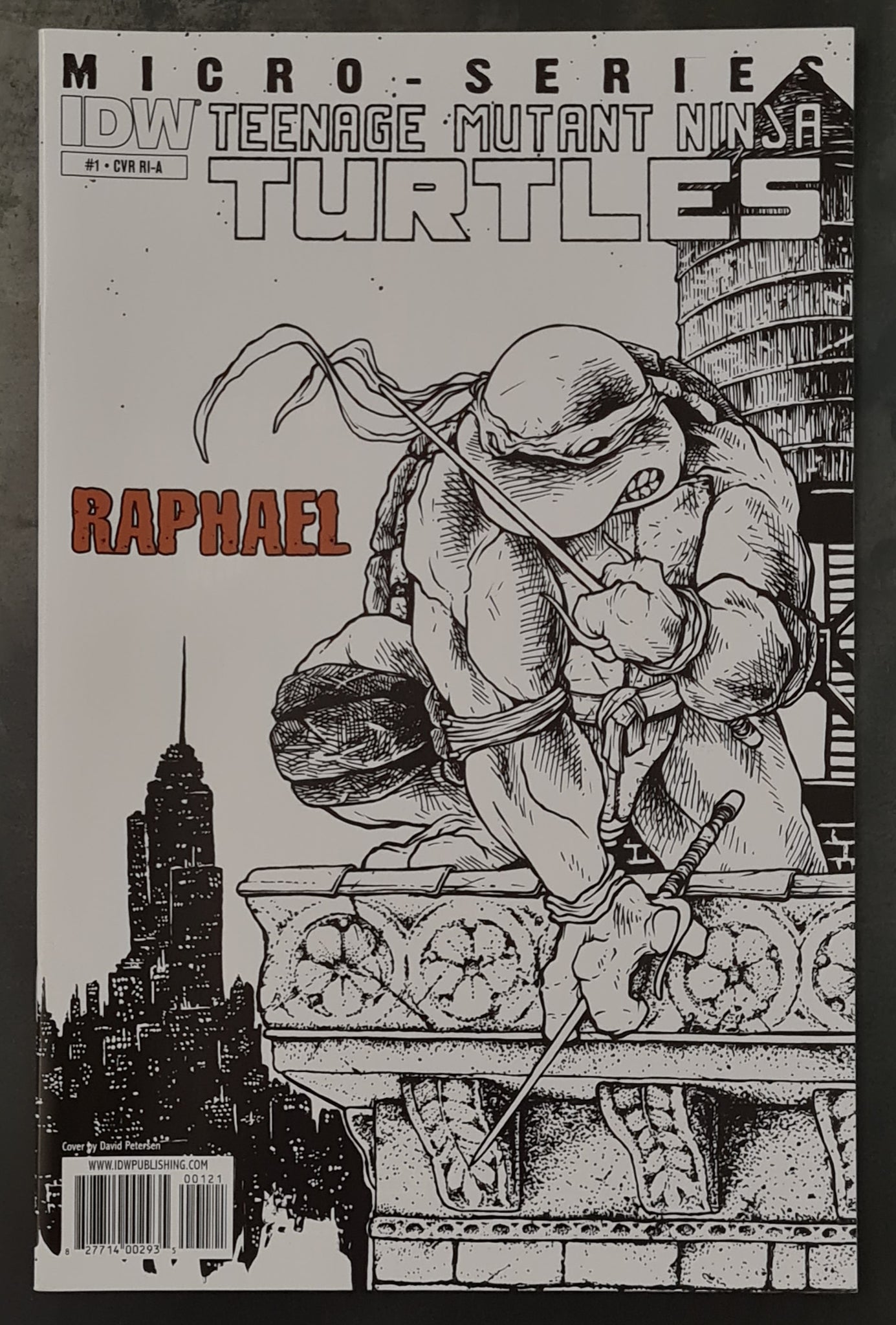 Teenage Mutant Ninja Turtles Micro-Series: Raphael #1 NM- David Peters ...